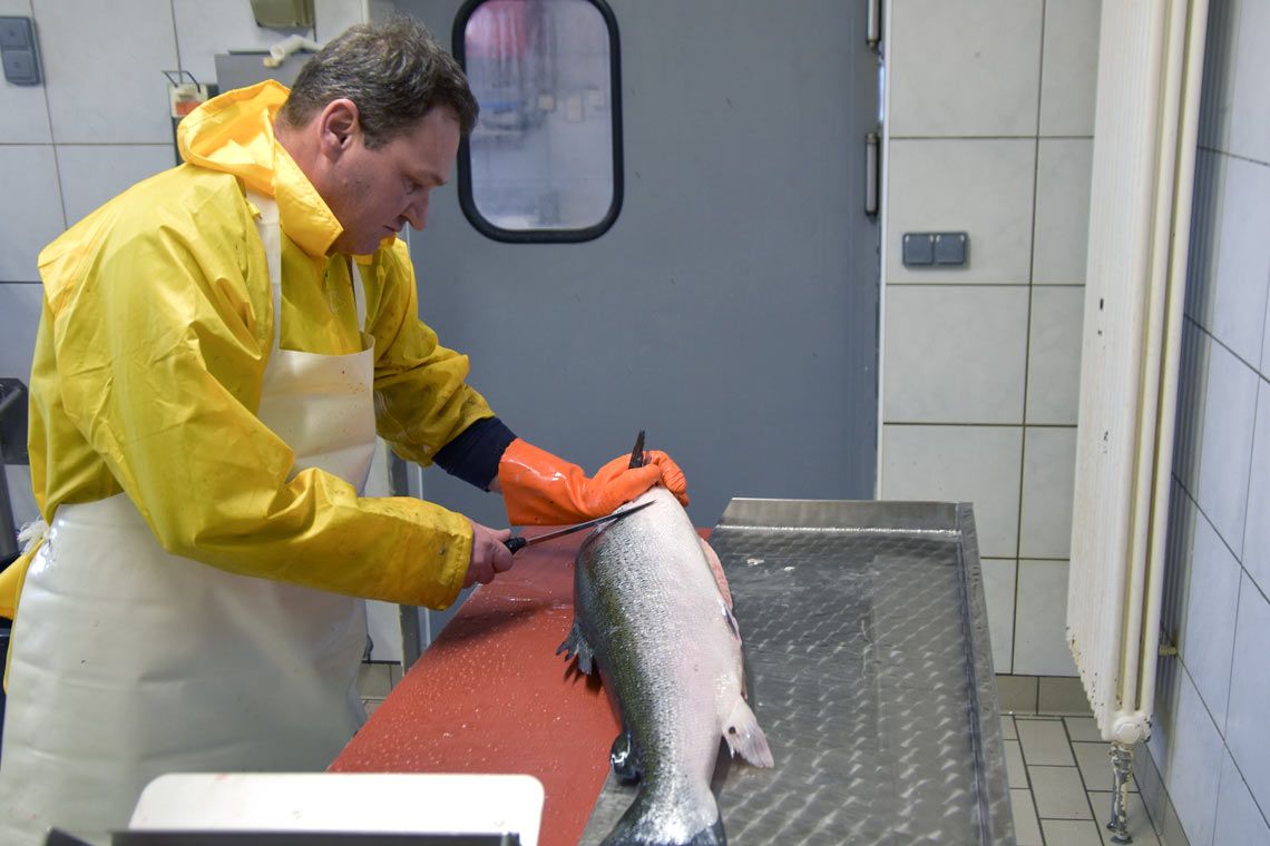 Bildergalerie: Forellenzucht & Fischräucherei in Augsburg und Umgebung